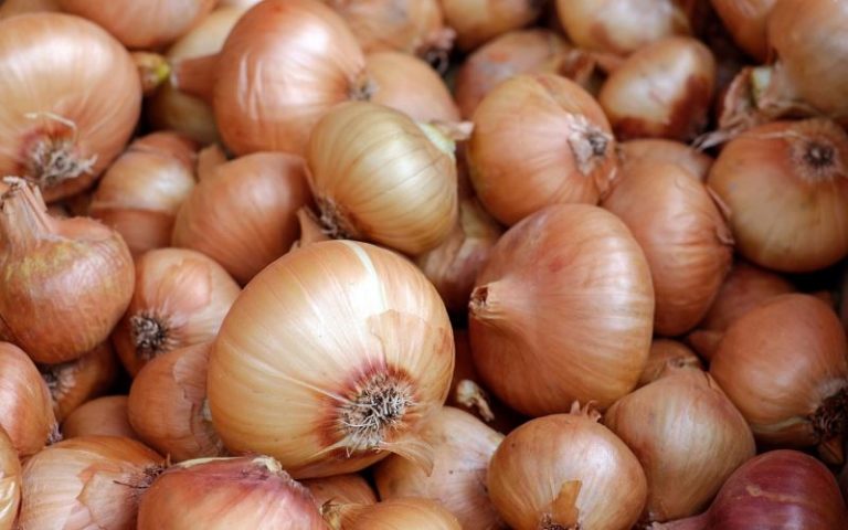 Best Shallot Substitute: TOP-6 Alternatives for Your Kitchen